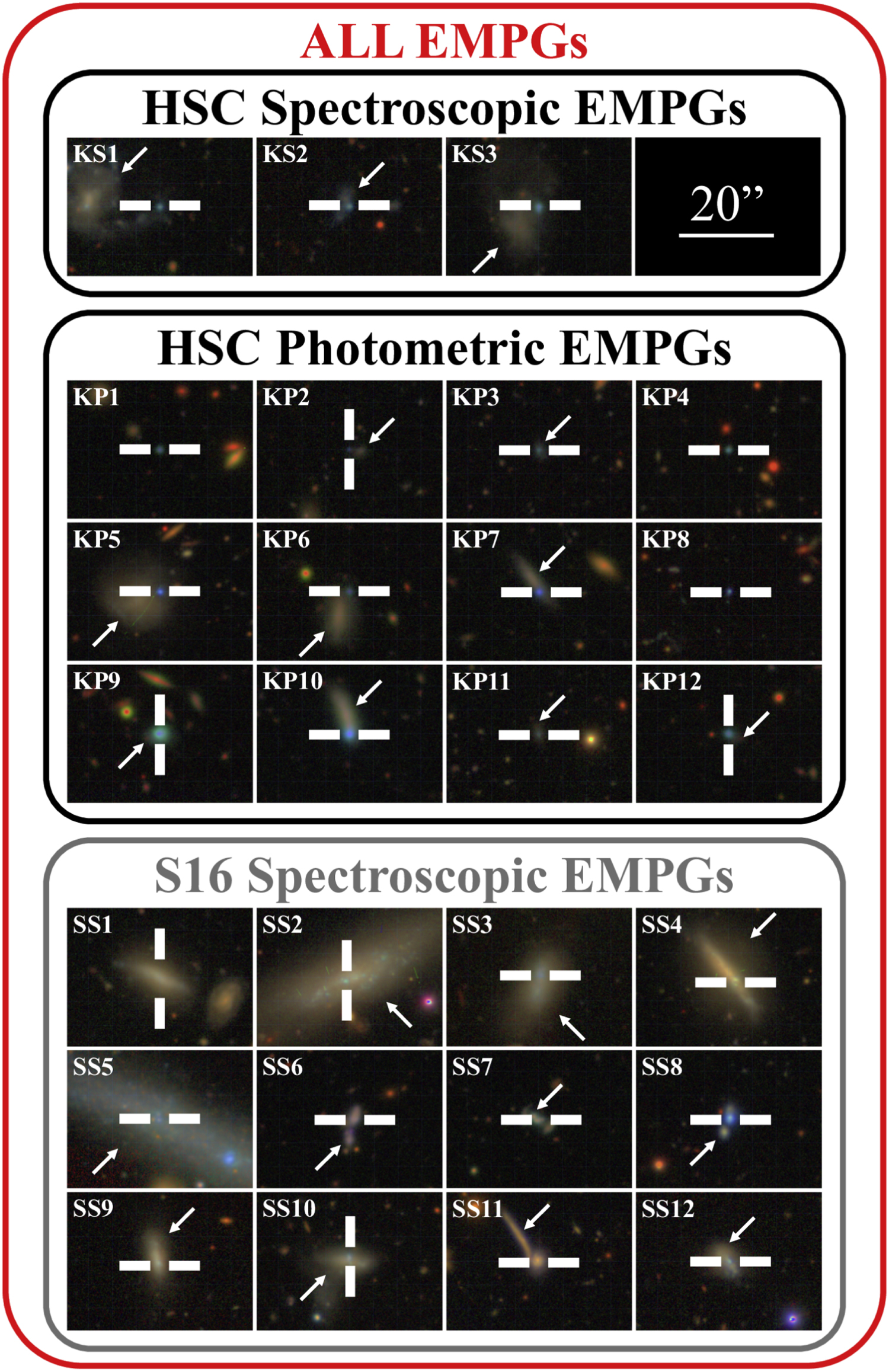 EMPRESS. III. Morphology, Stellar Population, and Dynamics of Extremely ...