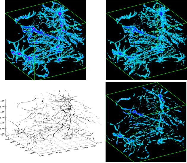 Profiles of Cosmic Filaments Since z = 4.0 in Cosmological ...