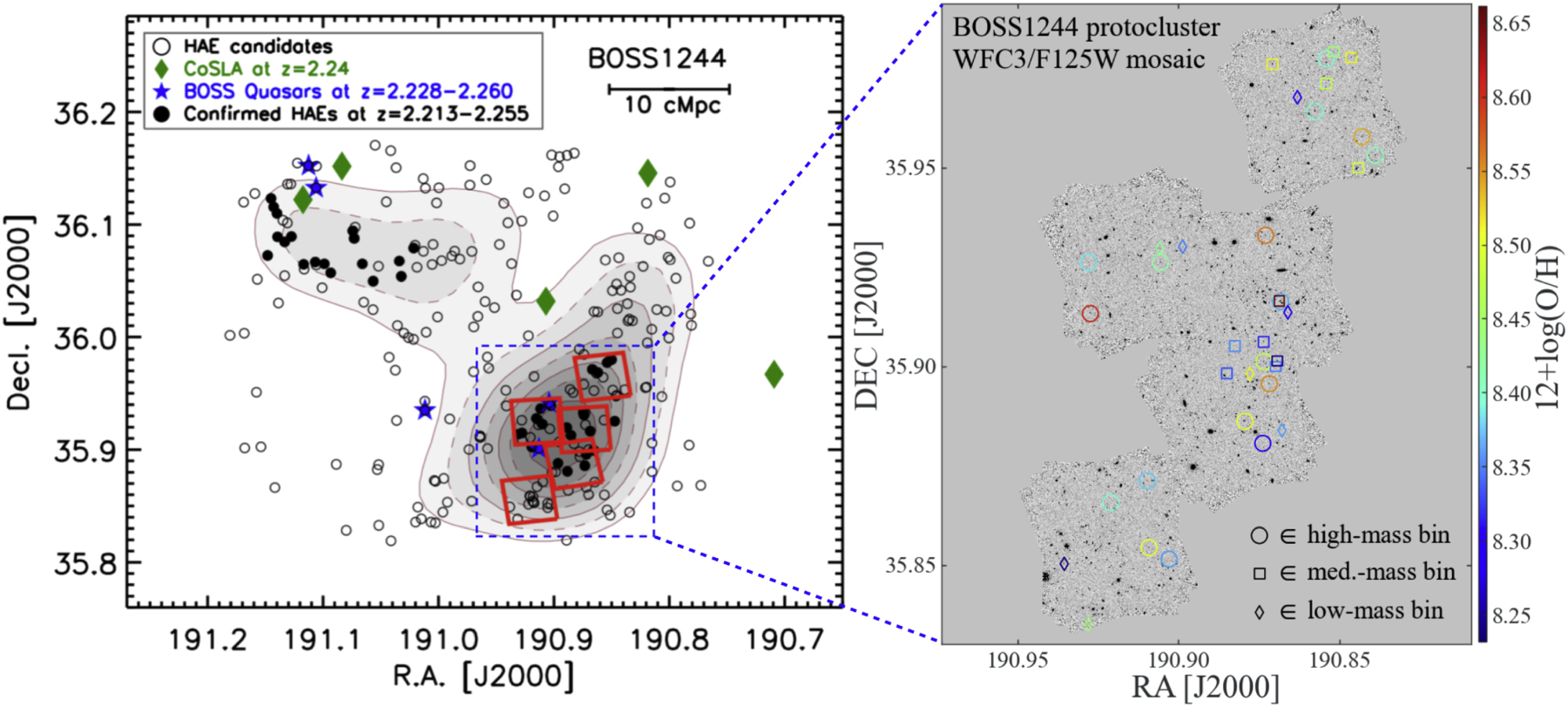 The Mass–Metallicity Relation at Cosmic Noon in Overdense Environments ...