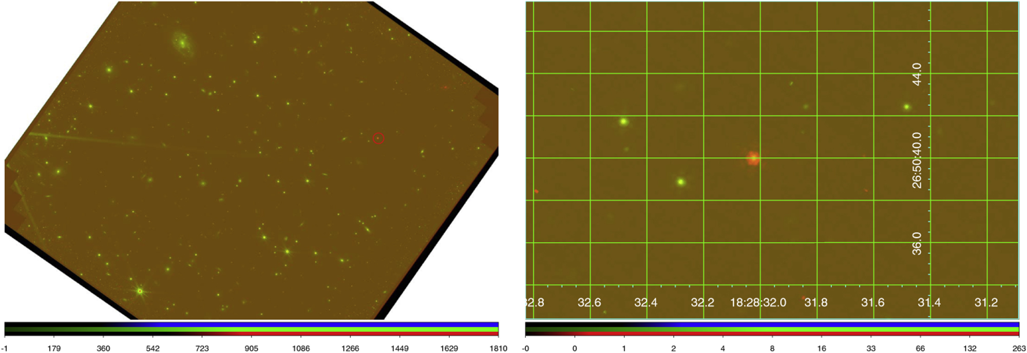 JWST Observations of the Enigmatic Y-Dwarf WISE 1828+2650. I. Limits to ...