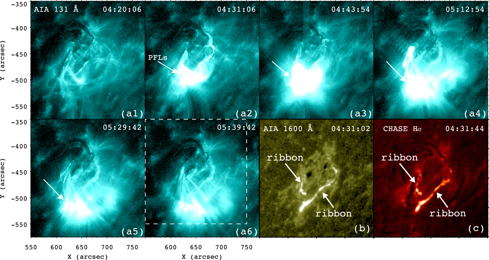 Transverse Vertical Oscillations During the Contraction and Expansion ...