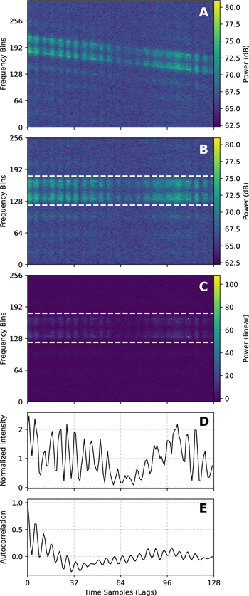 On Detecting Interstellar Scintillation in Narrowband Radio SETI ...
