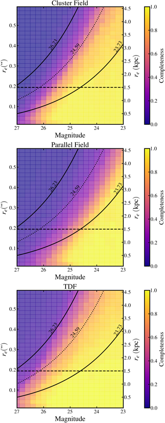 PEARLS: Low Stellar Density Galaxies in the El Gordo Cluster Observed ...