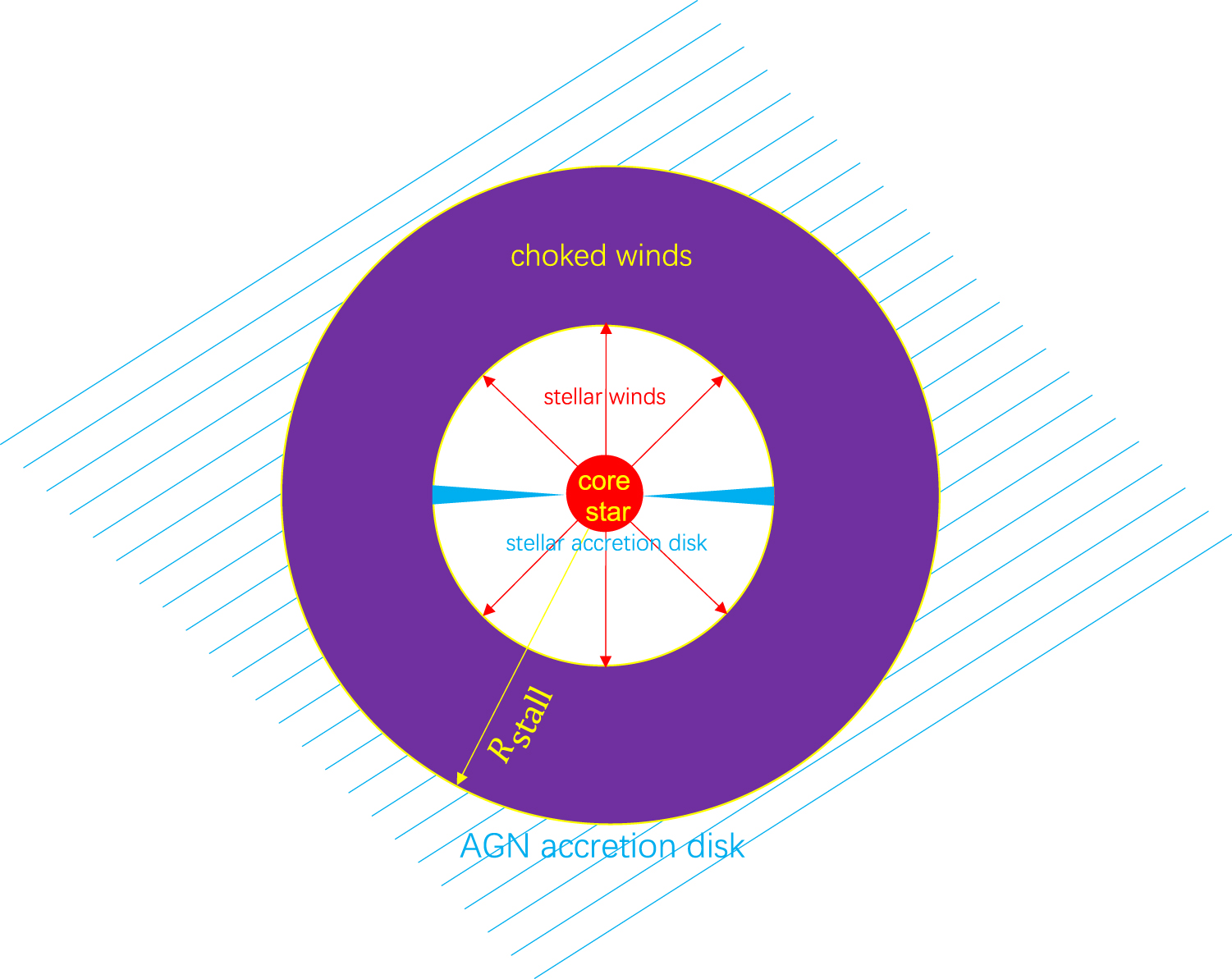 Star Formation in Self-gravitating Disks in Active Galactic Nuclei. III ...