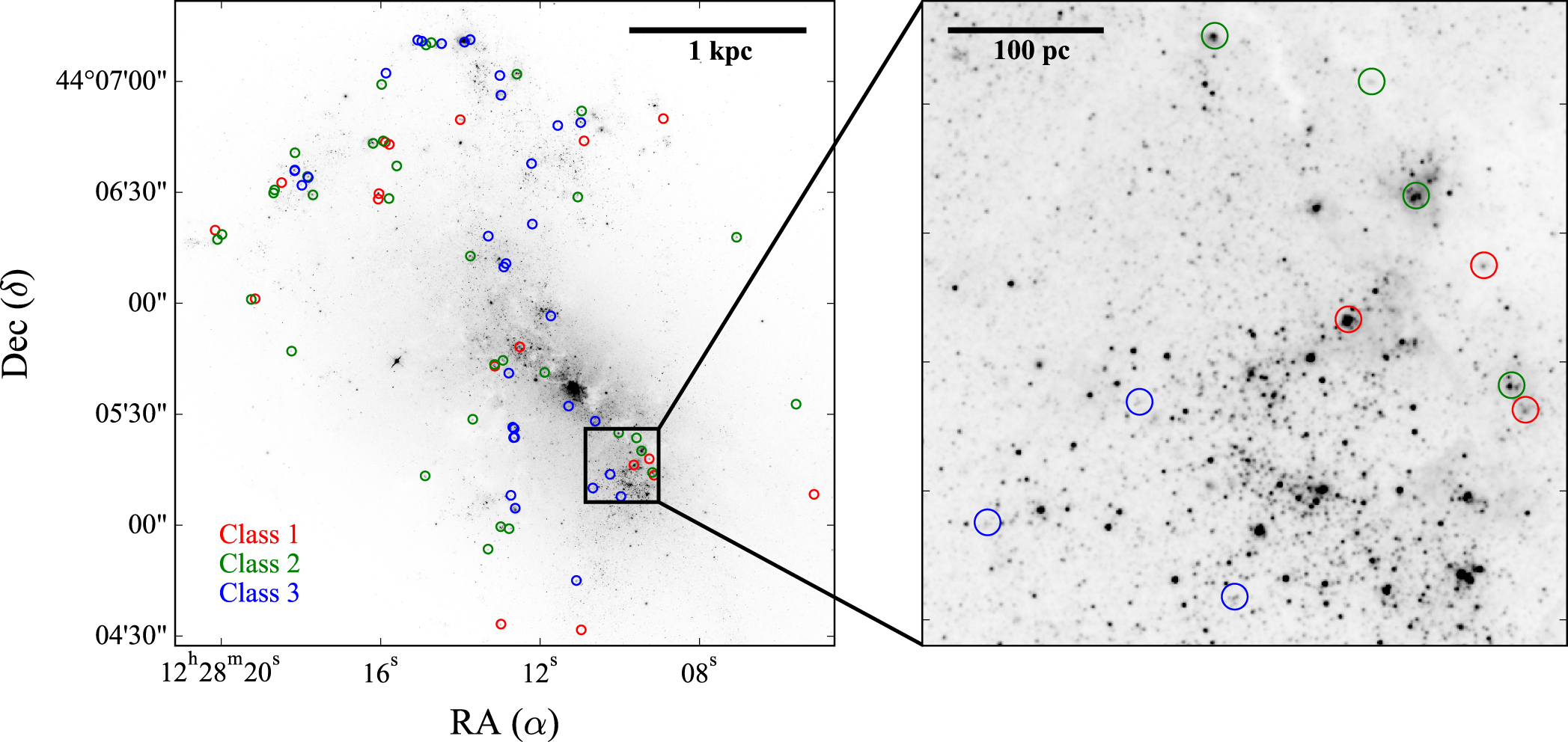 Universal Upper End of the Stellar Initial Mass Function in the Young ...