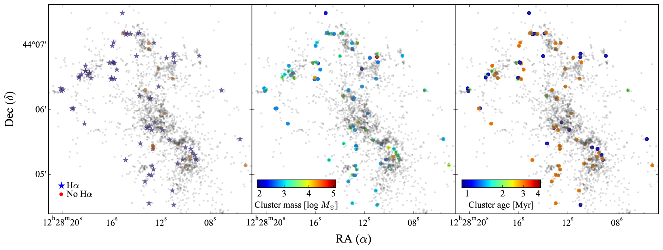 Universal Upper End of the Stellar Initial Mass Function in the Young ...