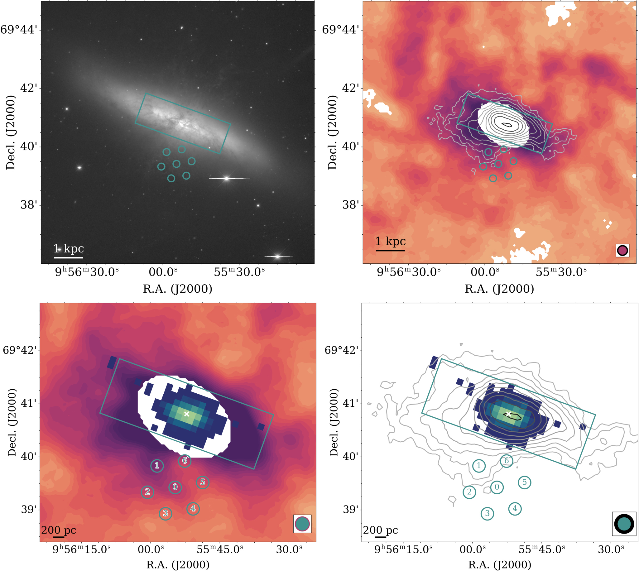 [C ii] Spectral Mapping of the Galactic Wind and Starbursting Disk of ...