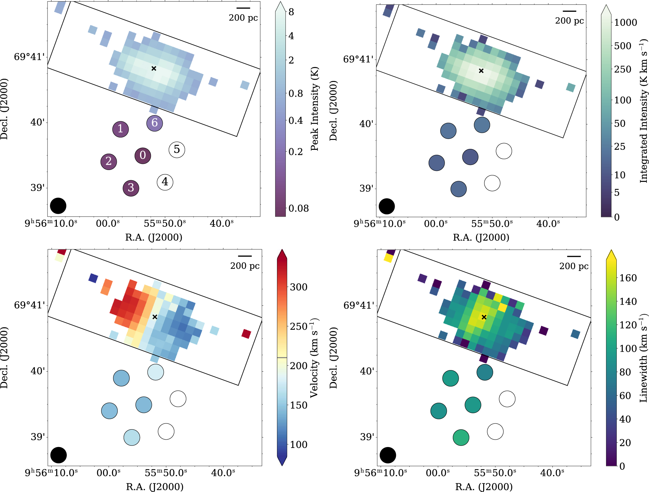[C ii] Spectral Mapping of the Galactic Wind and Starbursting Disk of ...