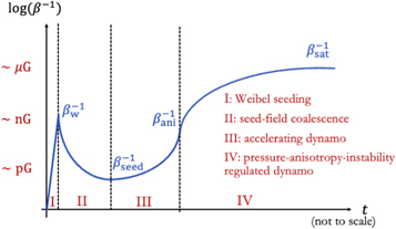 Magnetogenesis in a Collisionless Plasma: From Weibel Instability to ...