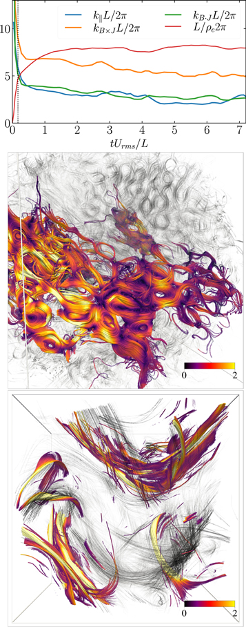 Magnetogenesis in a Collisionless Plasma: From Weibel Instability to ...