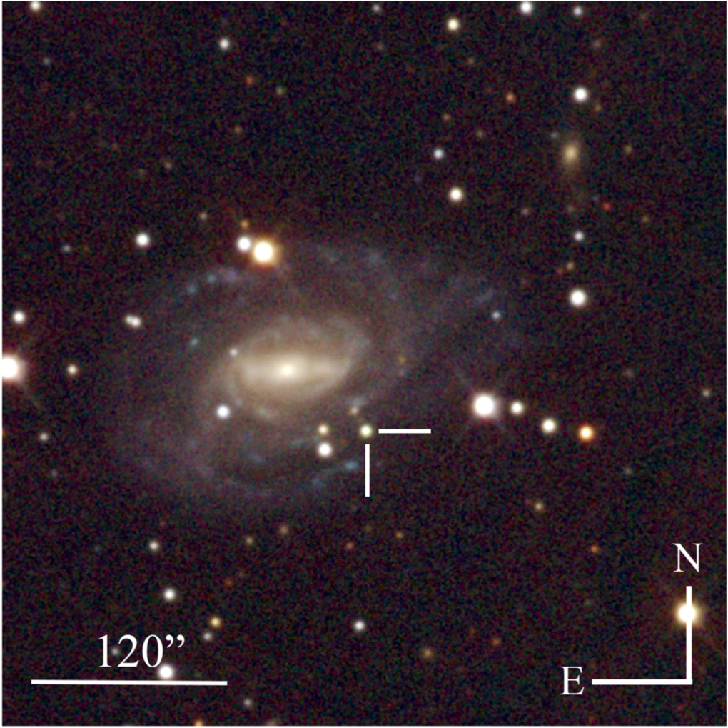 Strong Carbon Features and a Red Early Color in the Underluminous Type ...