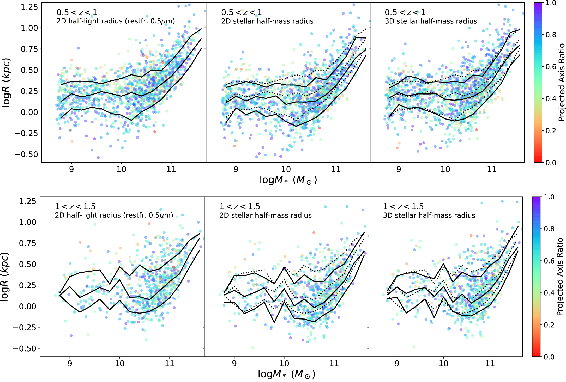 Stellar Half-mass Radii of 0.5 z