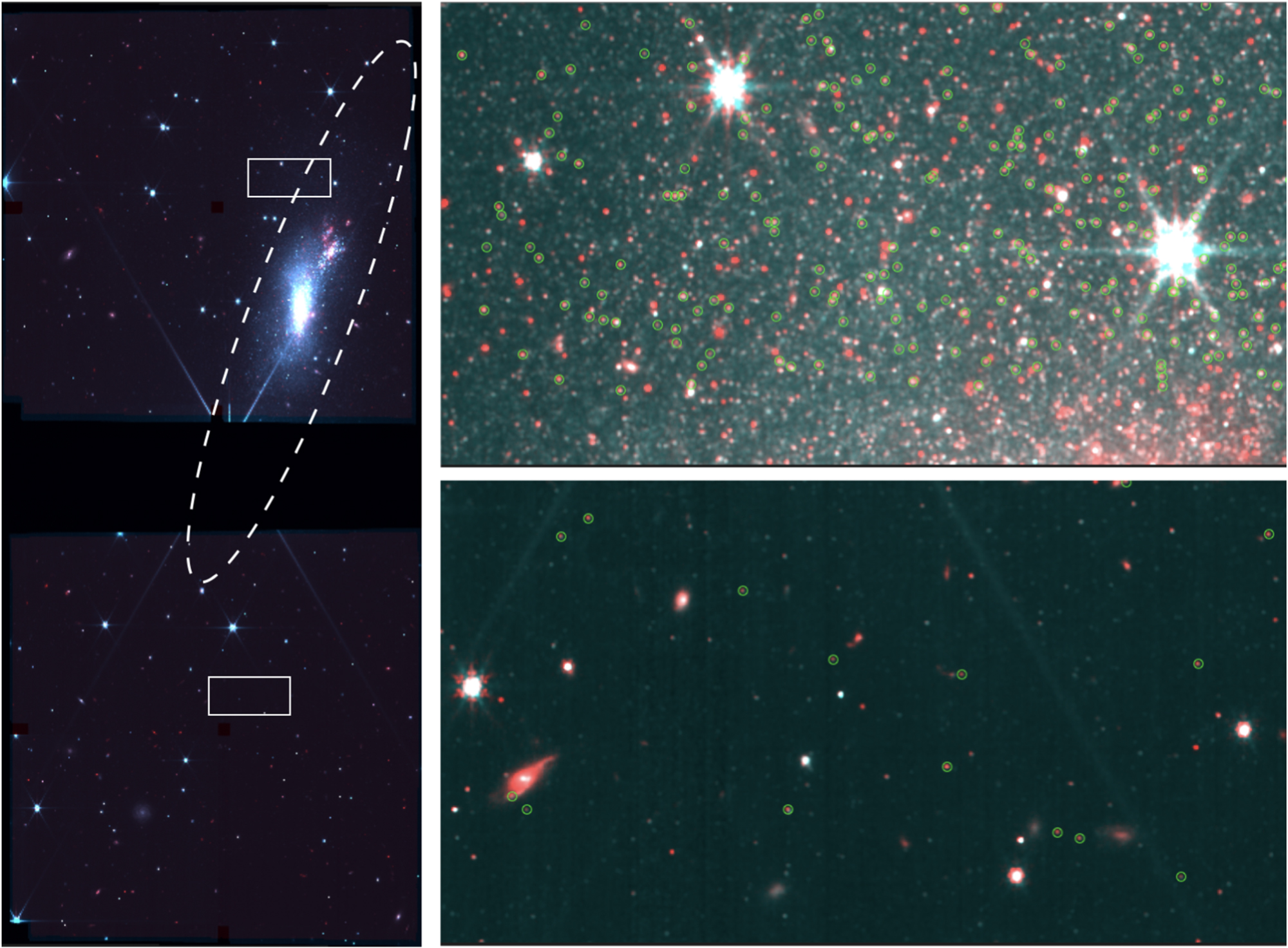 First JWST Observations of JAGB Stars in the SN Ia Host Galaxies: NGC ...