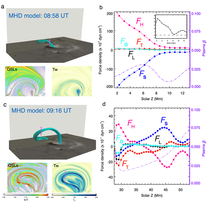 Data-driven Modeling of a Coronal Magnetic Flux Rope: From Birth to ...