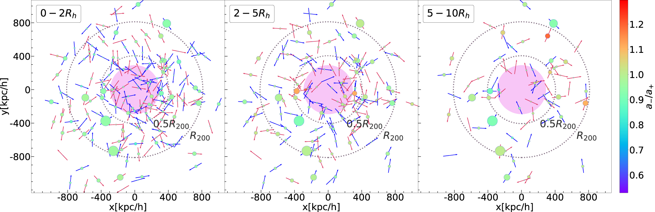 Shape Asymmetries and the Relation between Lopsidedness and Radial ...