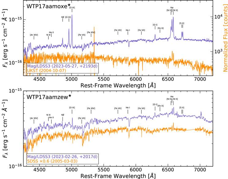 A New Population of Mid-infrared-selected Tidal Disruption Events ...
