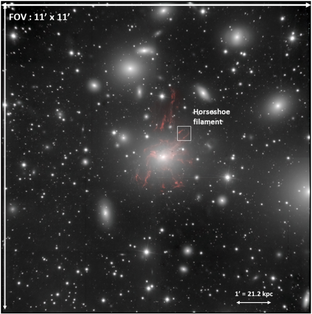 High-spectral-resolution Observations of the Optical Filamentary Nebula ...