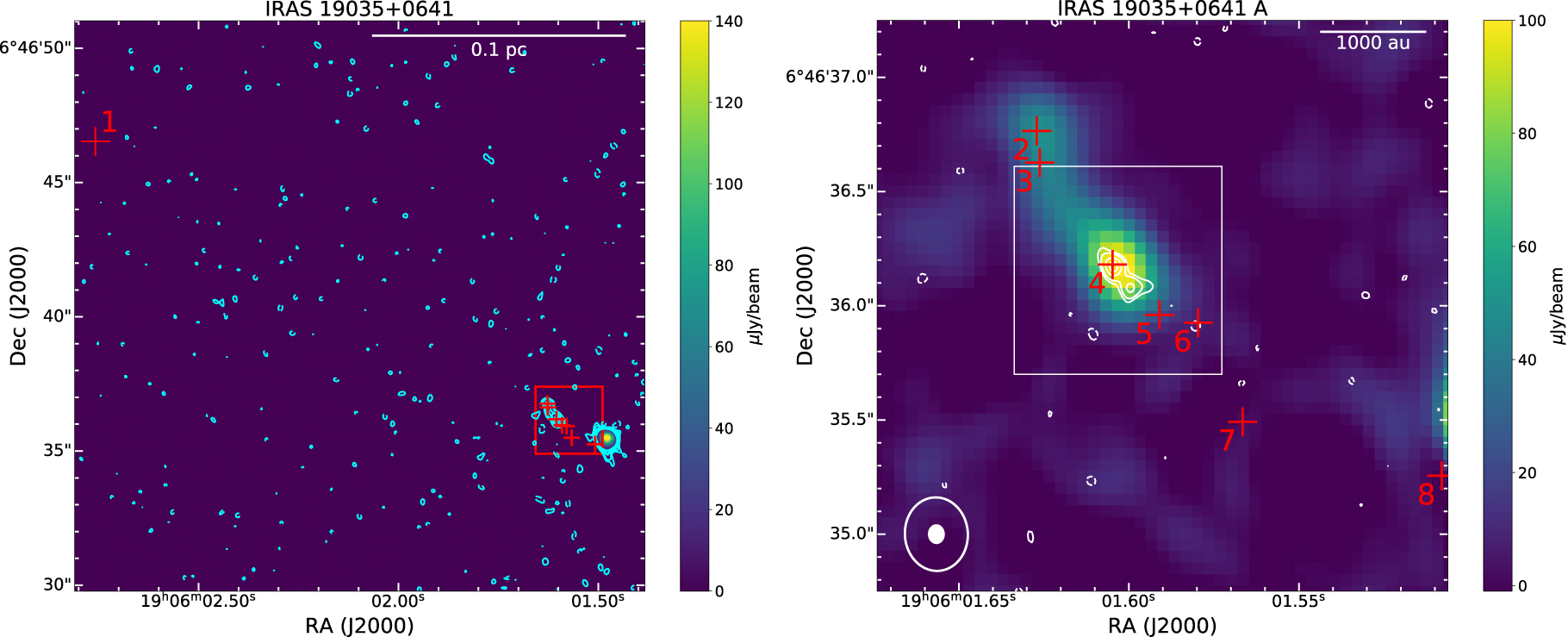 Radio Continuum and Water Maser Observations of the High-mass Protostar ...