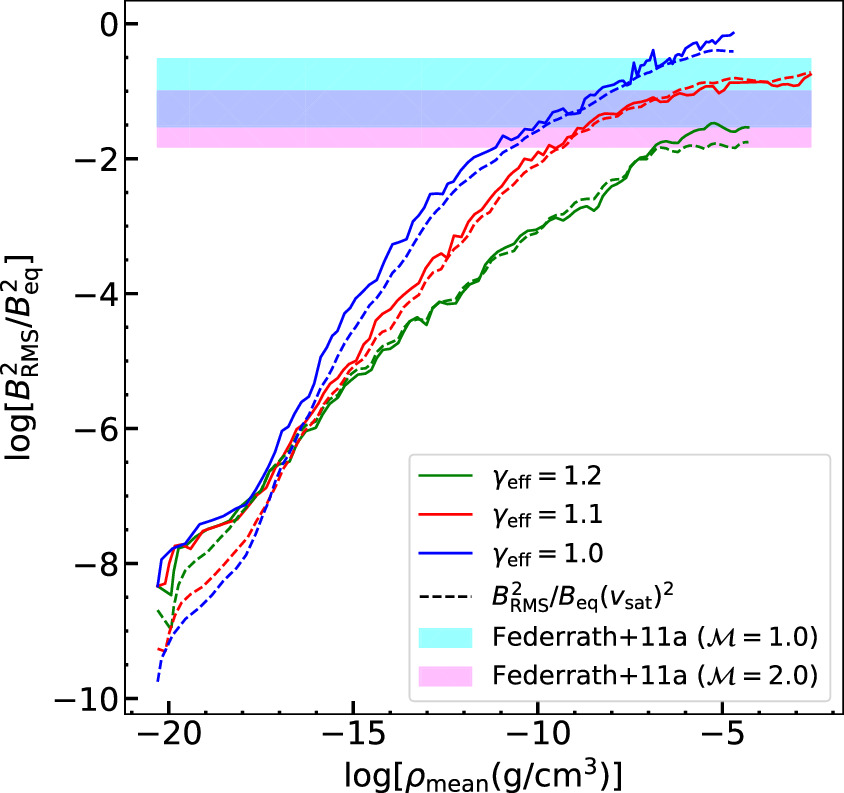 Amplification and Saturation of Turbulent Magnetic Fields in Collapsing ...