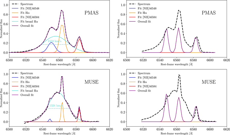 Recovering Lost Light: Discovery of Supernova Remnants with Integral ...