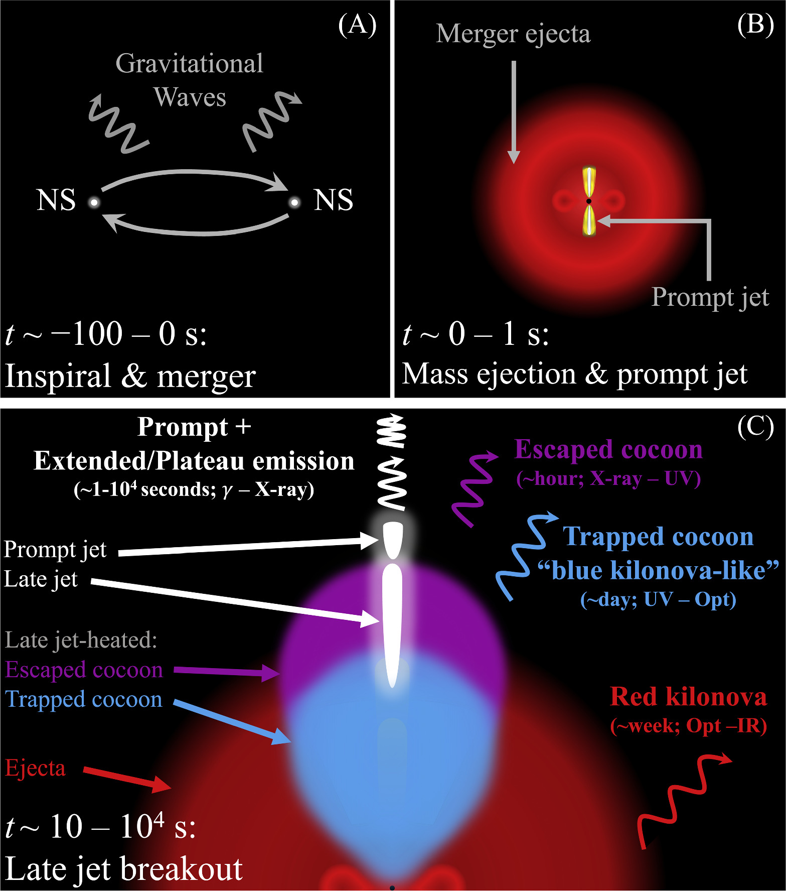 Late Engine Activity in Neutron Star Mergers and Its Cocoon: An ...