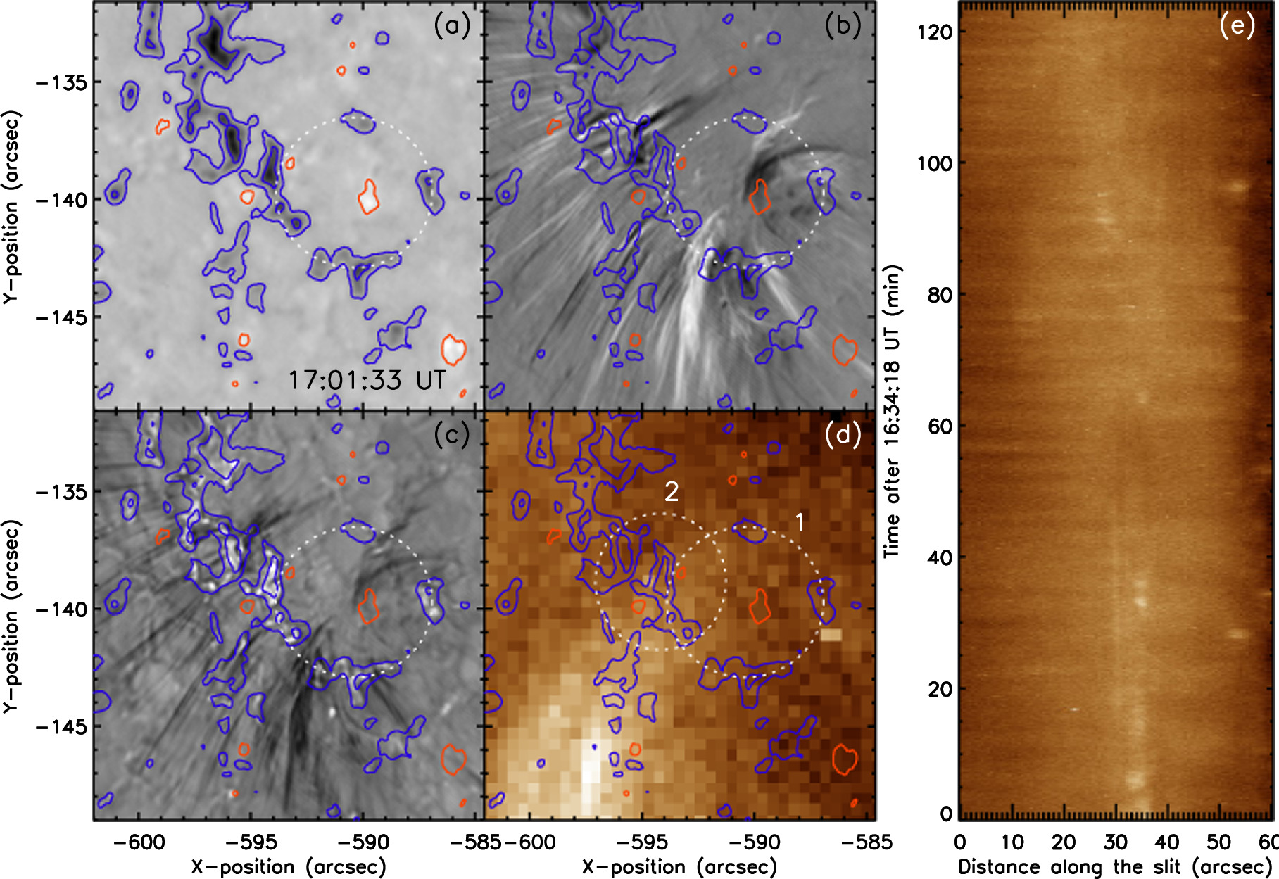 Solar Spicules, Filigrees, and Solar Wind Switchbacks - IOPscience