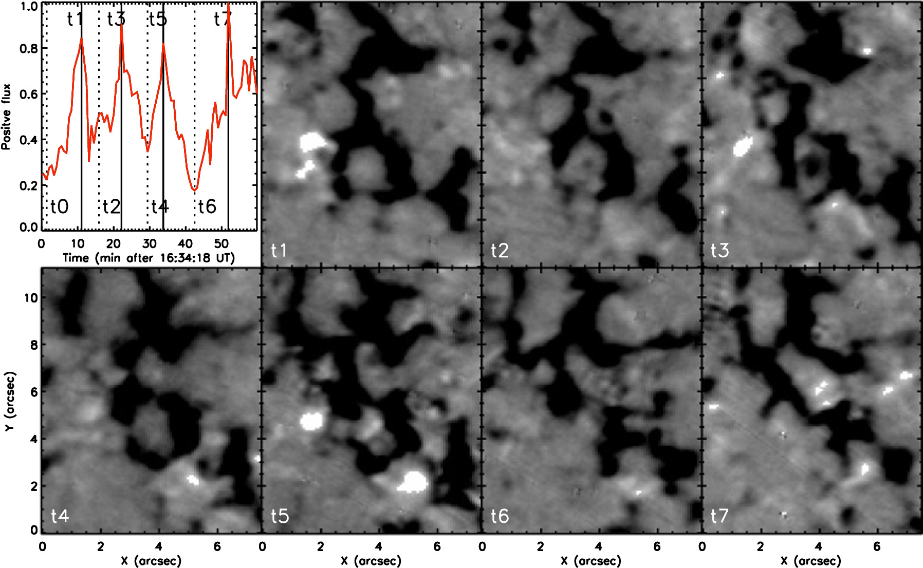 Solar Spicules, Filigrees, and Solar Wind Switchbacks - IOPscience
