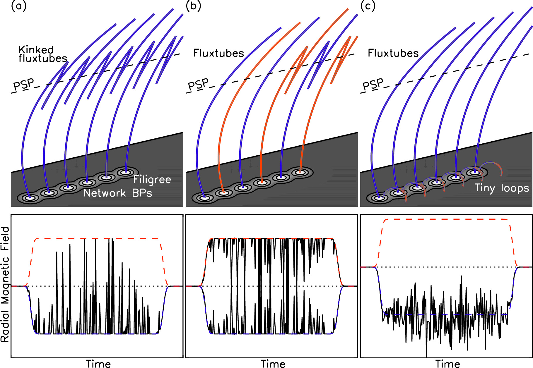 Solar Spicules, Filigrees, and Solar Wind Switchbacks - IOPscience