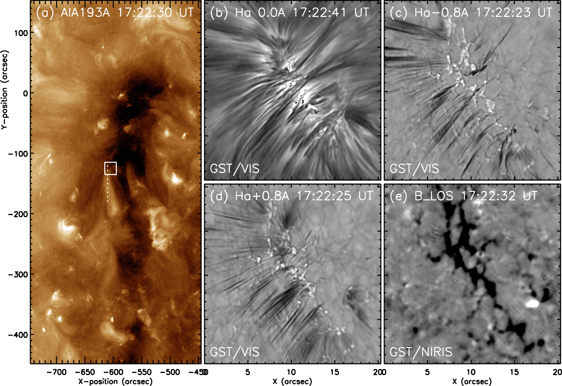 Solar Spicules, Filigrees, and Solar Wind Switchbacks - IOPscience