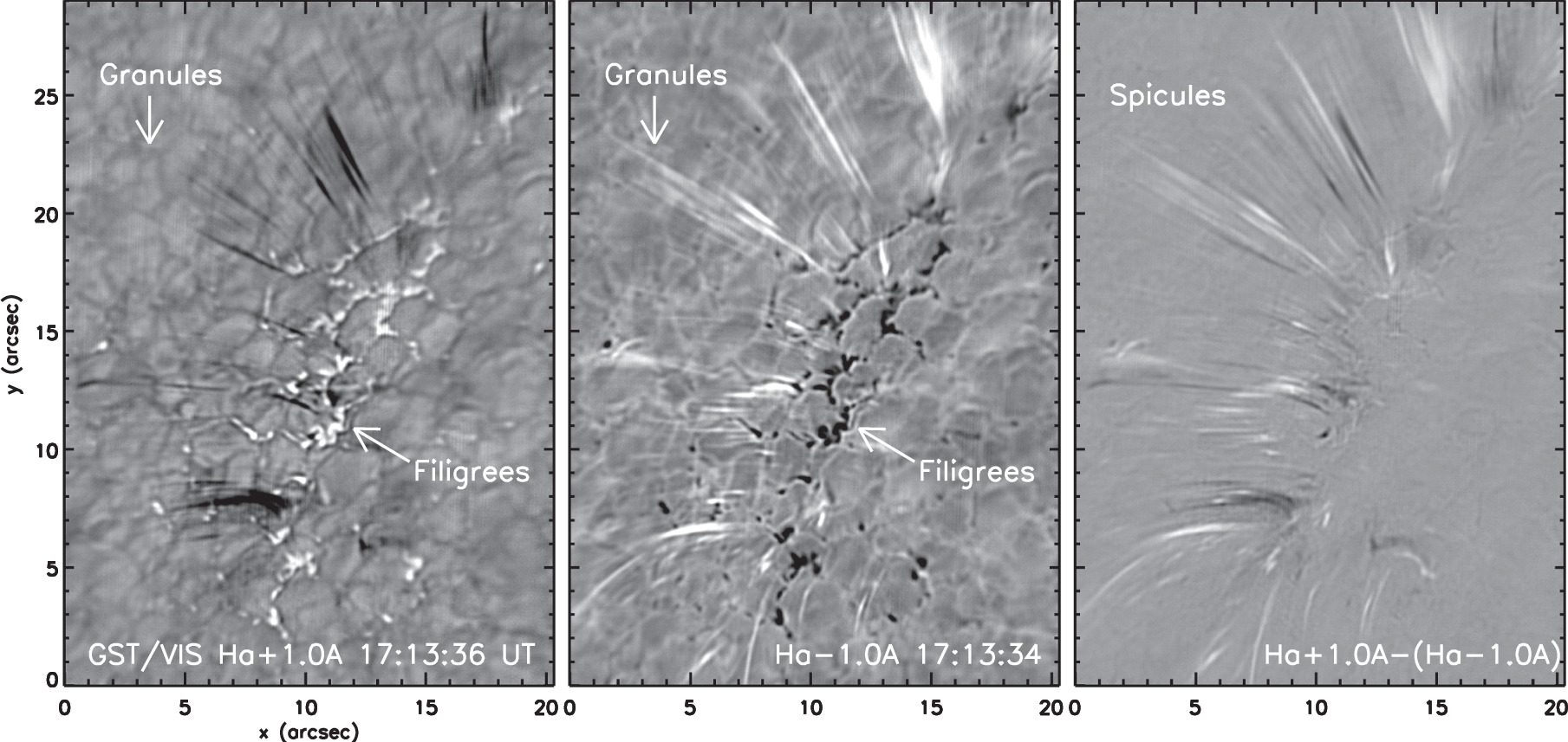 Solar Spicules, Filigrees, and Solar Wind Switchbacks - IOPscience