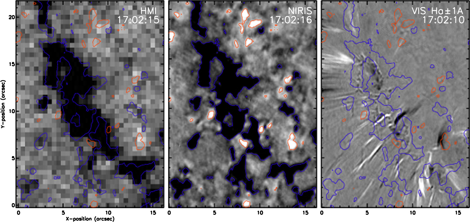 Solar Spicules, Filigrees, and Solar Wind Switchbacks - IOPscience