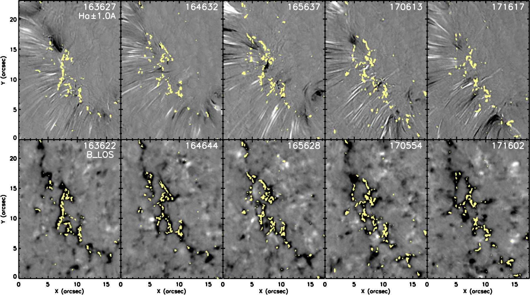 Solar Spicules, Filigrees, and Solar Wind Switchbacks - IOPscience