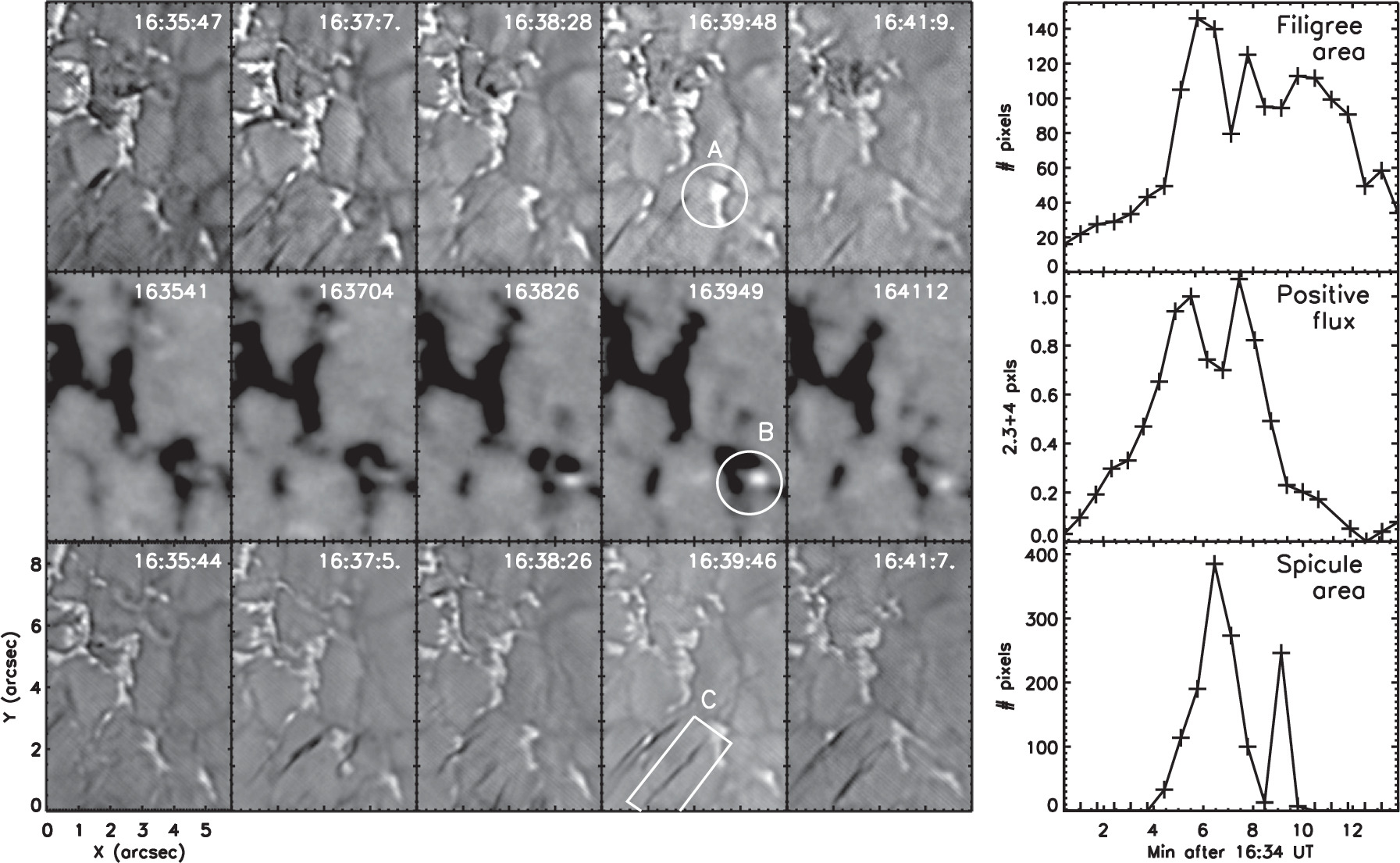 Solar Spicules, Filigrees, and Solar Wind Switchbacks - IOPscience