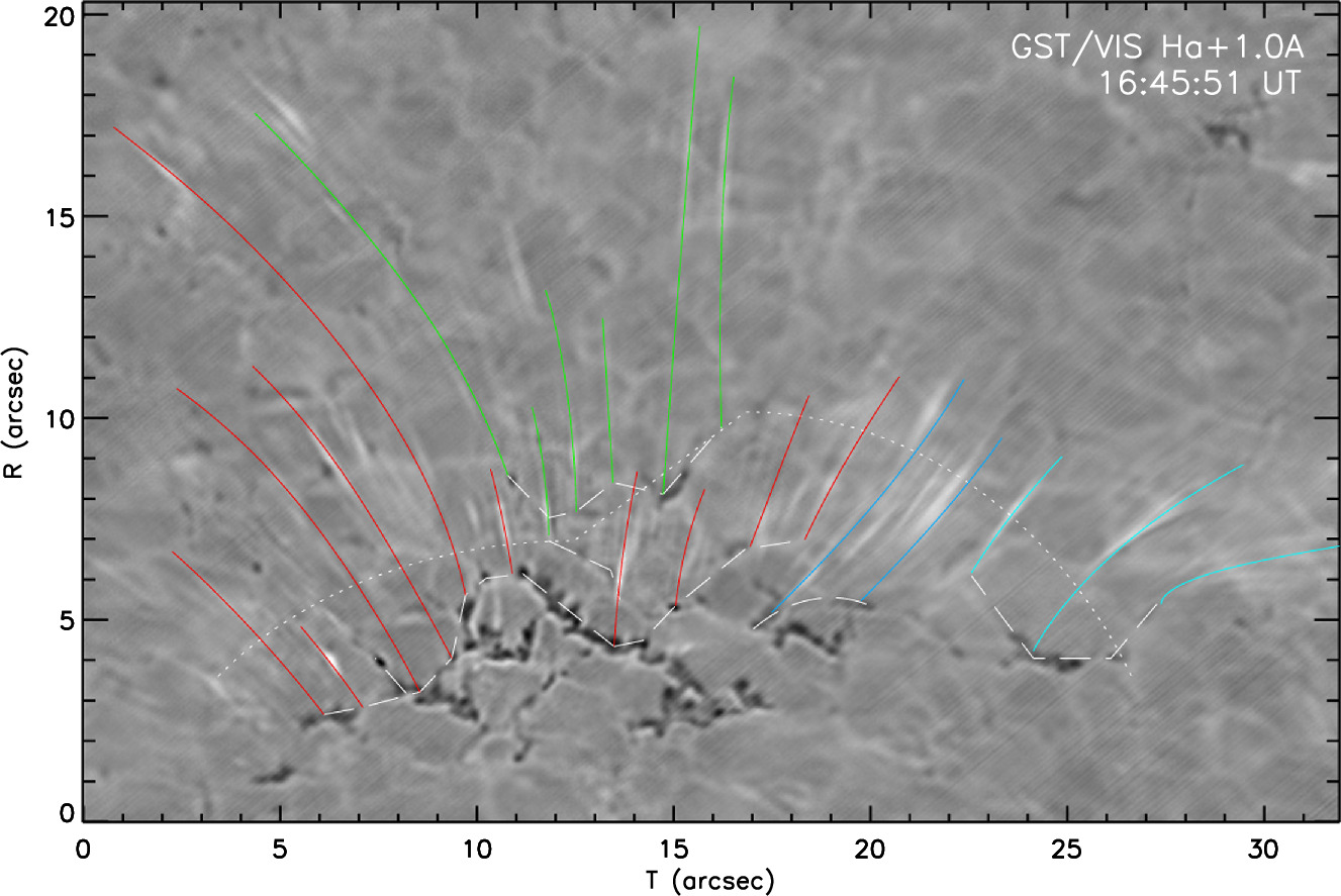 Solar Spicules, Filigrees, and Solar Wind Switchbacks - IOPscience