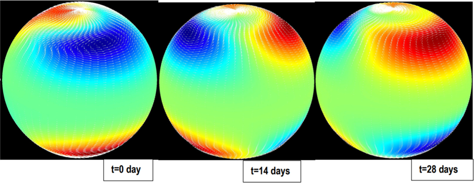 Exploring Spatial and Temporal Patterns in the Debrecen Solar Faculae ...