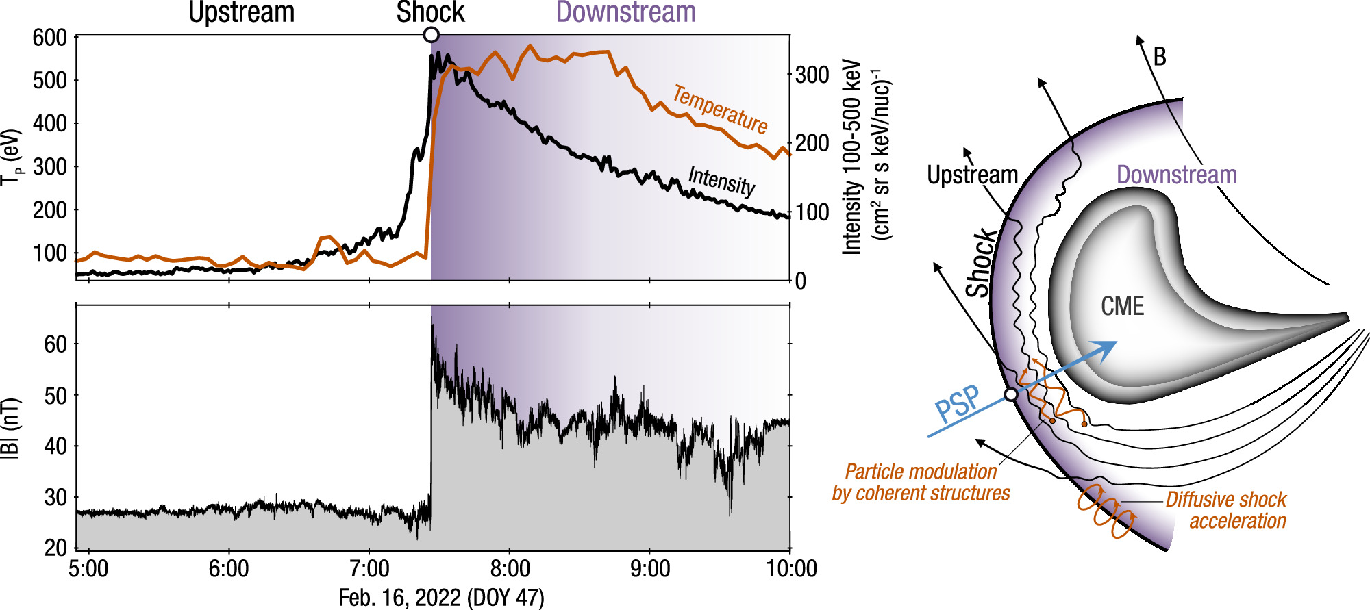 Correlation of Coronal Mass Ejection Shock Temperature with Solar ...