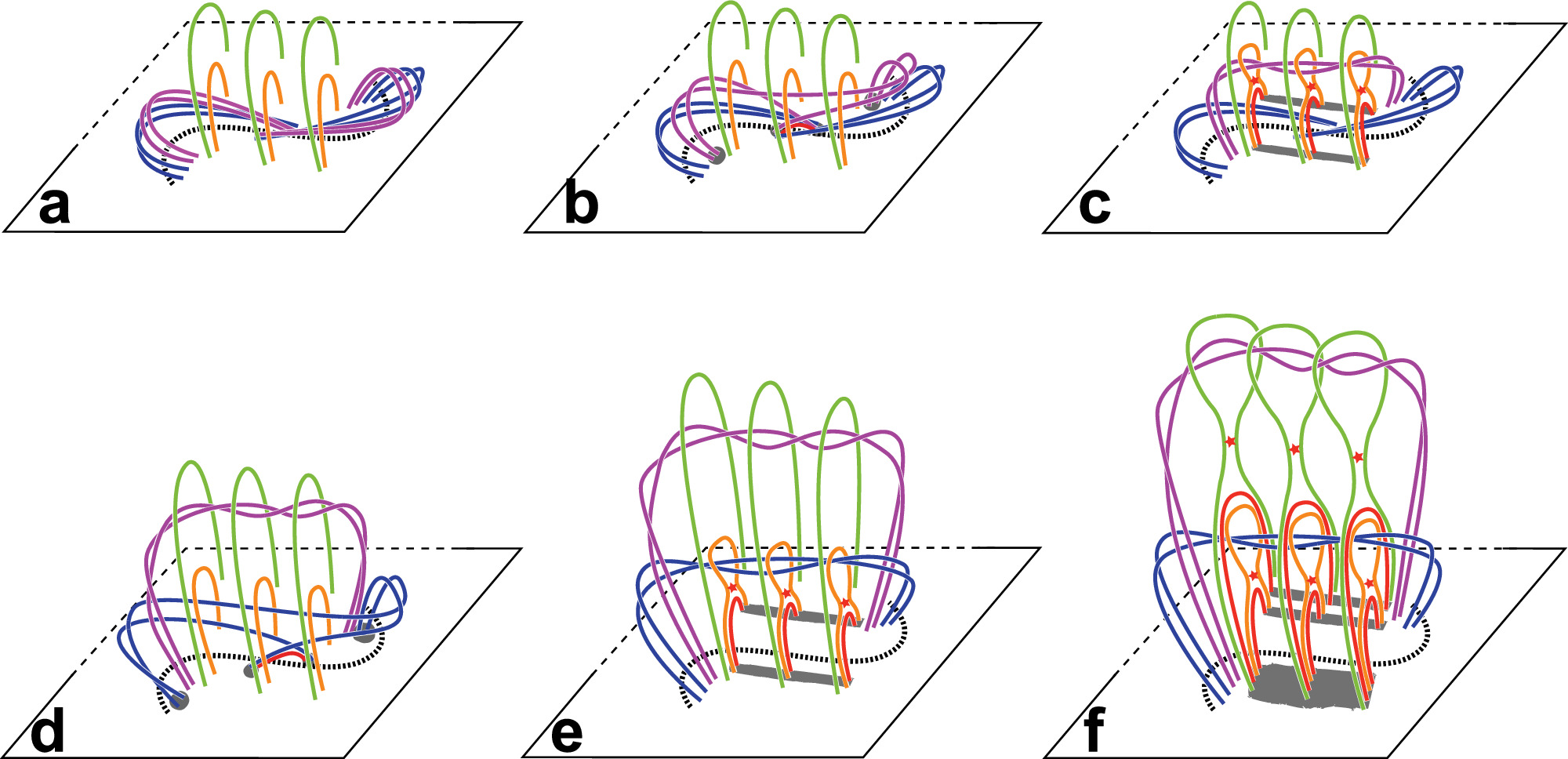 Double-decker Pair of Flux Ropes Formed by Two Successive Tether ...