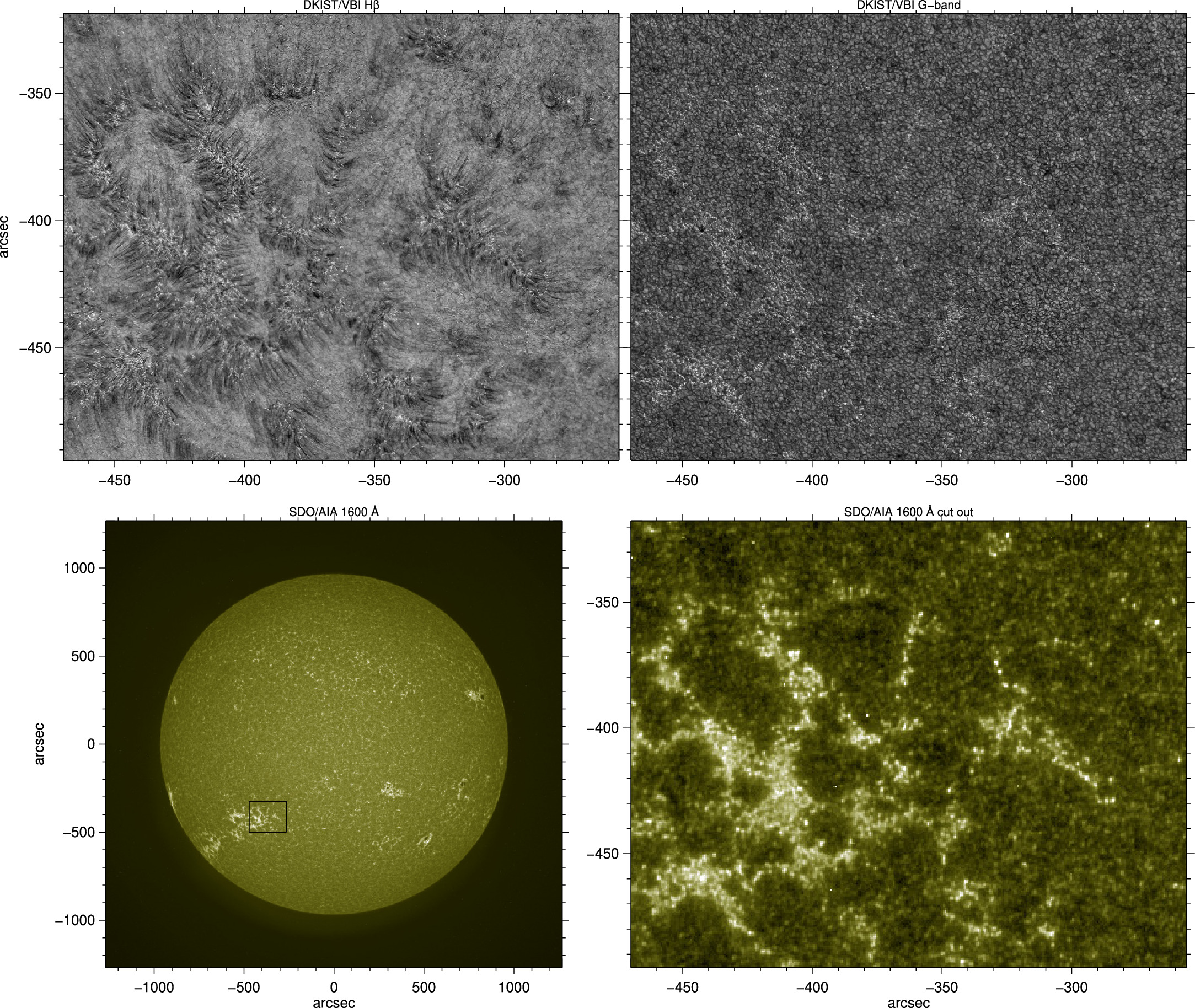 Insight into the Solar Plage Chromosphere with DKIST - IOPscience
