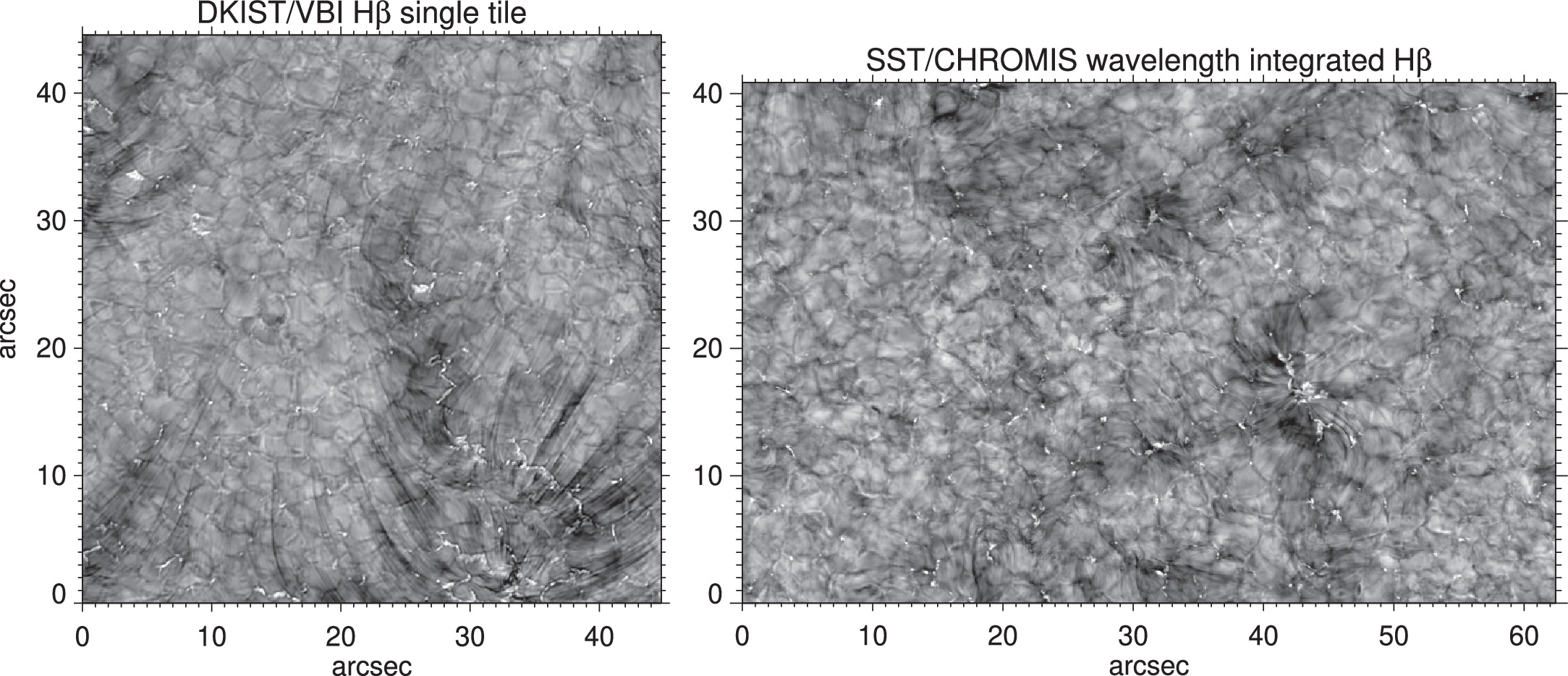 Insight into the Solar Plage Chromosphere with DKIST - IOPscience