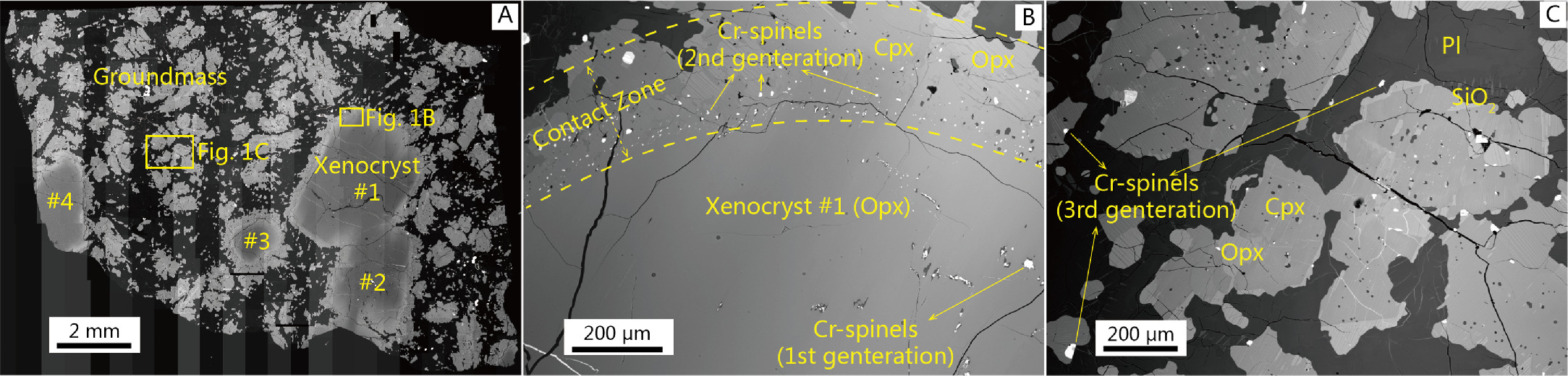 Petrogenesis of Erg Chech 002 Achondrite and Implications for an ...