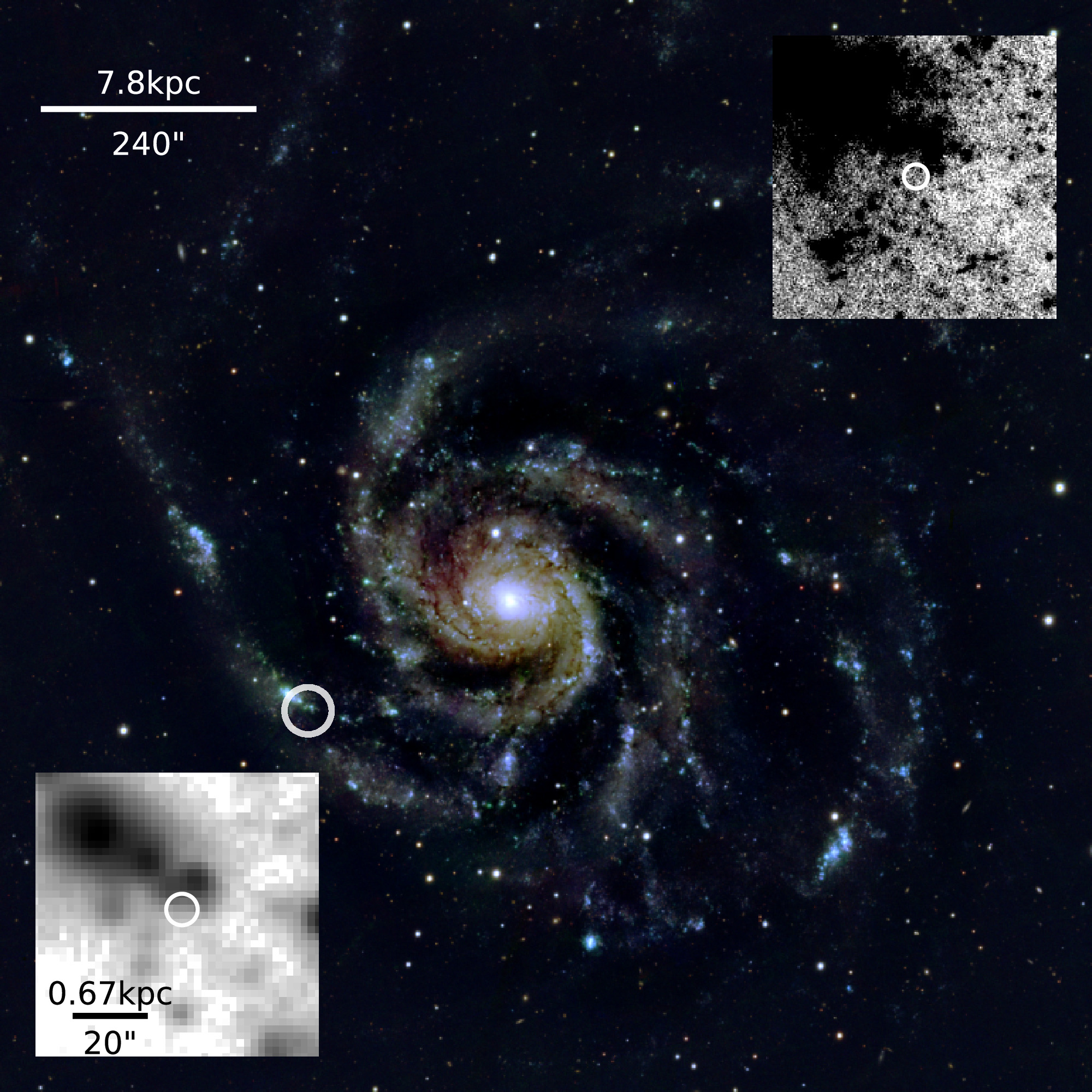 SN 2023ixf in Messier 101: The Twilight Years of the Progenitor as Seen ...