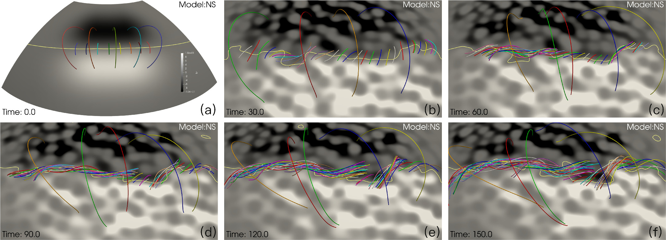 Formation of Polar Crown Filament Magnetic Fields by Supergranular ...