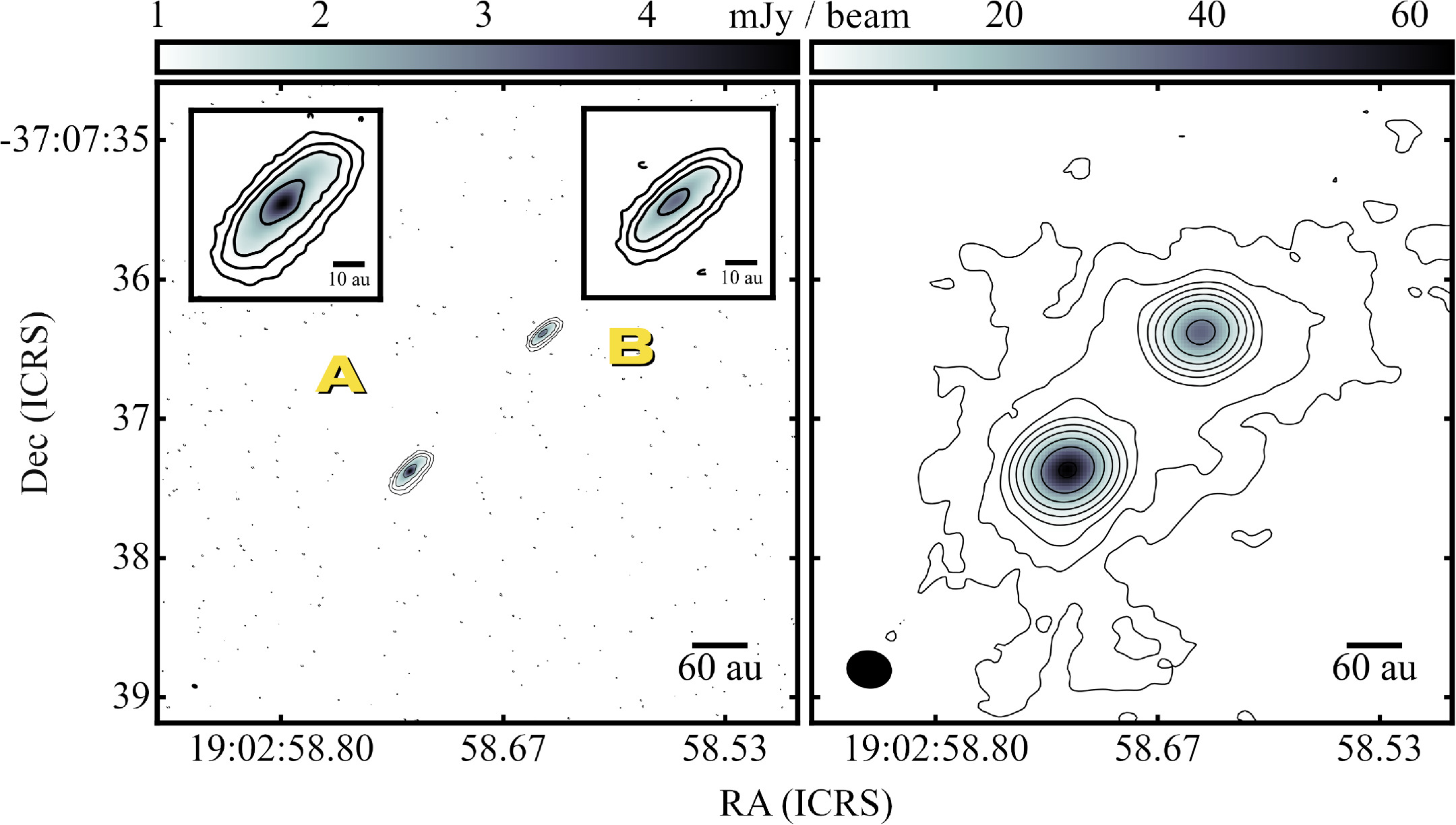 Early Planet Formation in Embedded Disks (eDisk). XIII. Aligned Disks with Nonsettled Dust ...