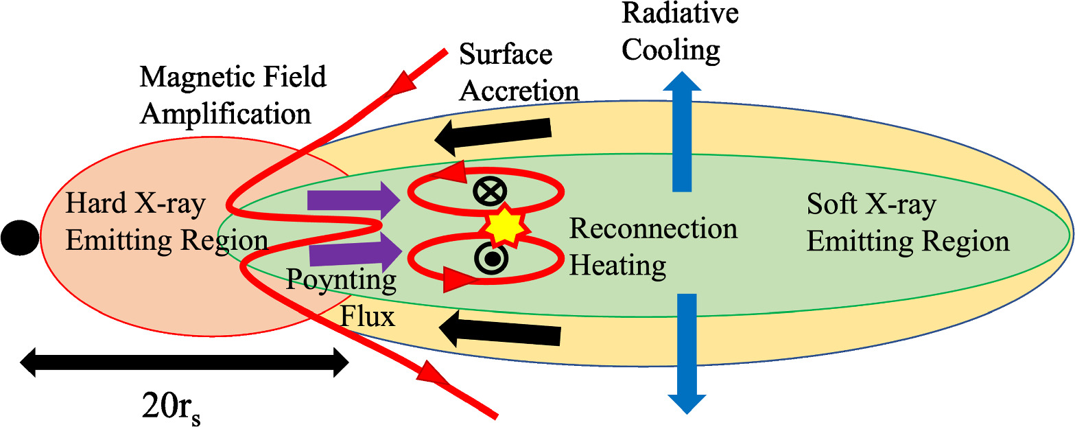 Radiation MHD Simulations of Soft X-Ray Emitting Regions in Changing ...