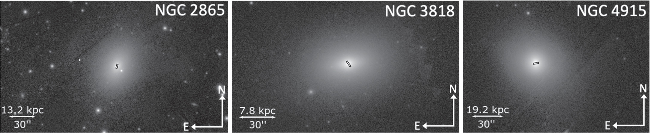 Stellar Abundances at the Center of Early-type Galaxies with Fine ...