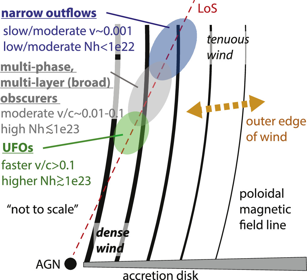 Dual Role of Accretion Disk Winds as X-Ray Obscurers and UV Line ...