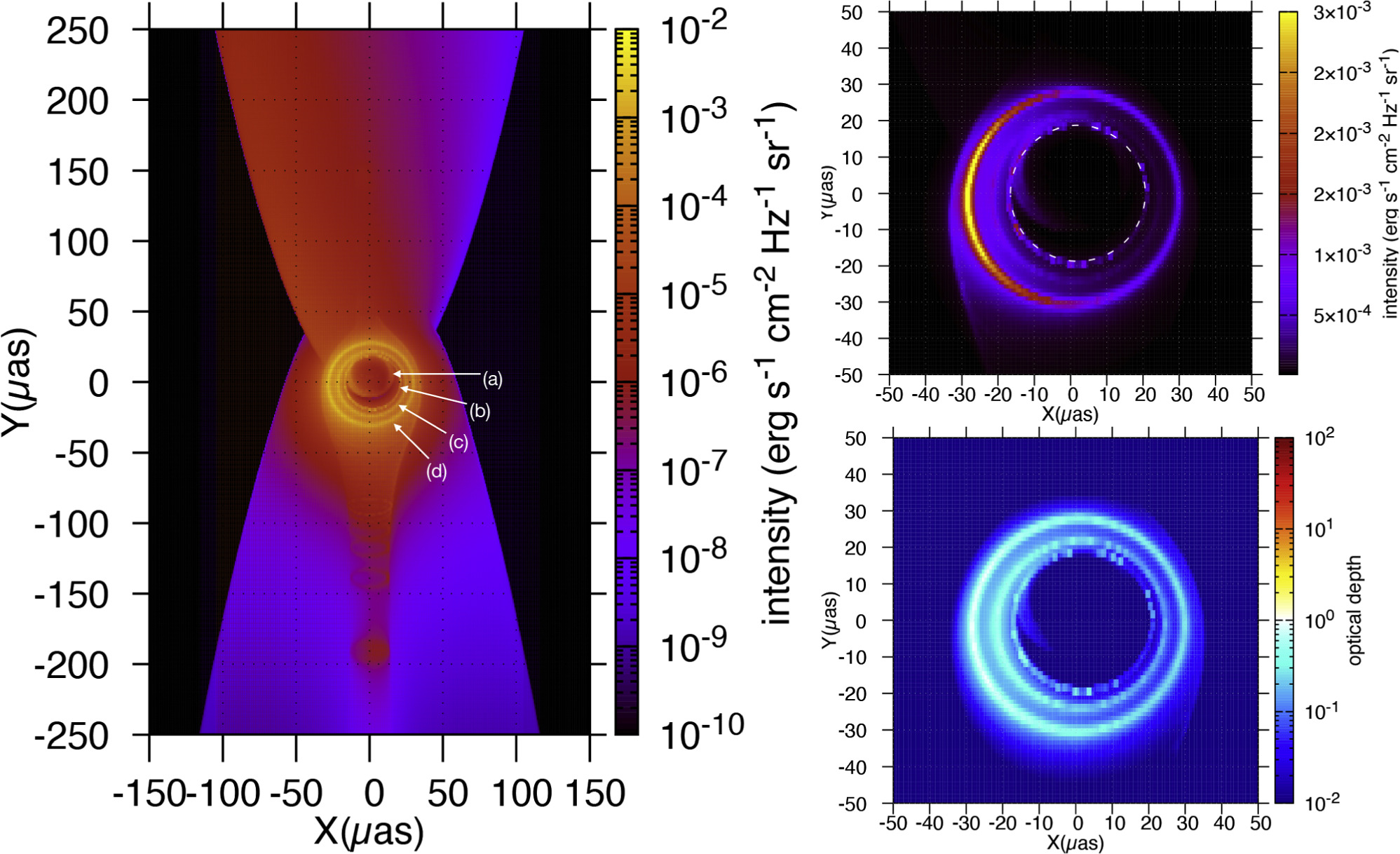 Radio Images inside Highly Magnetized Jet Funnels Based on Semianalytic ...