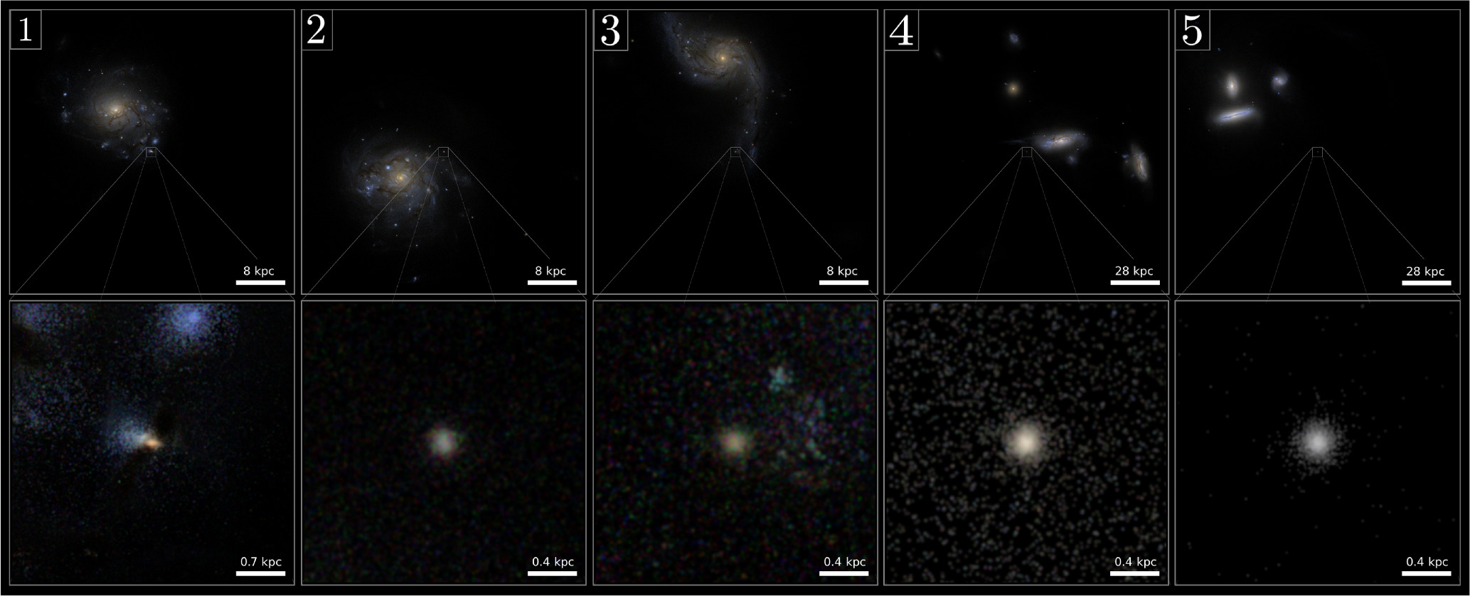 Formation Pathways of the Compact Stellar Systems - IOPscience