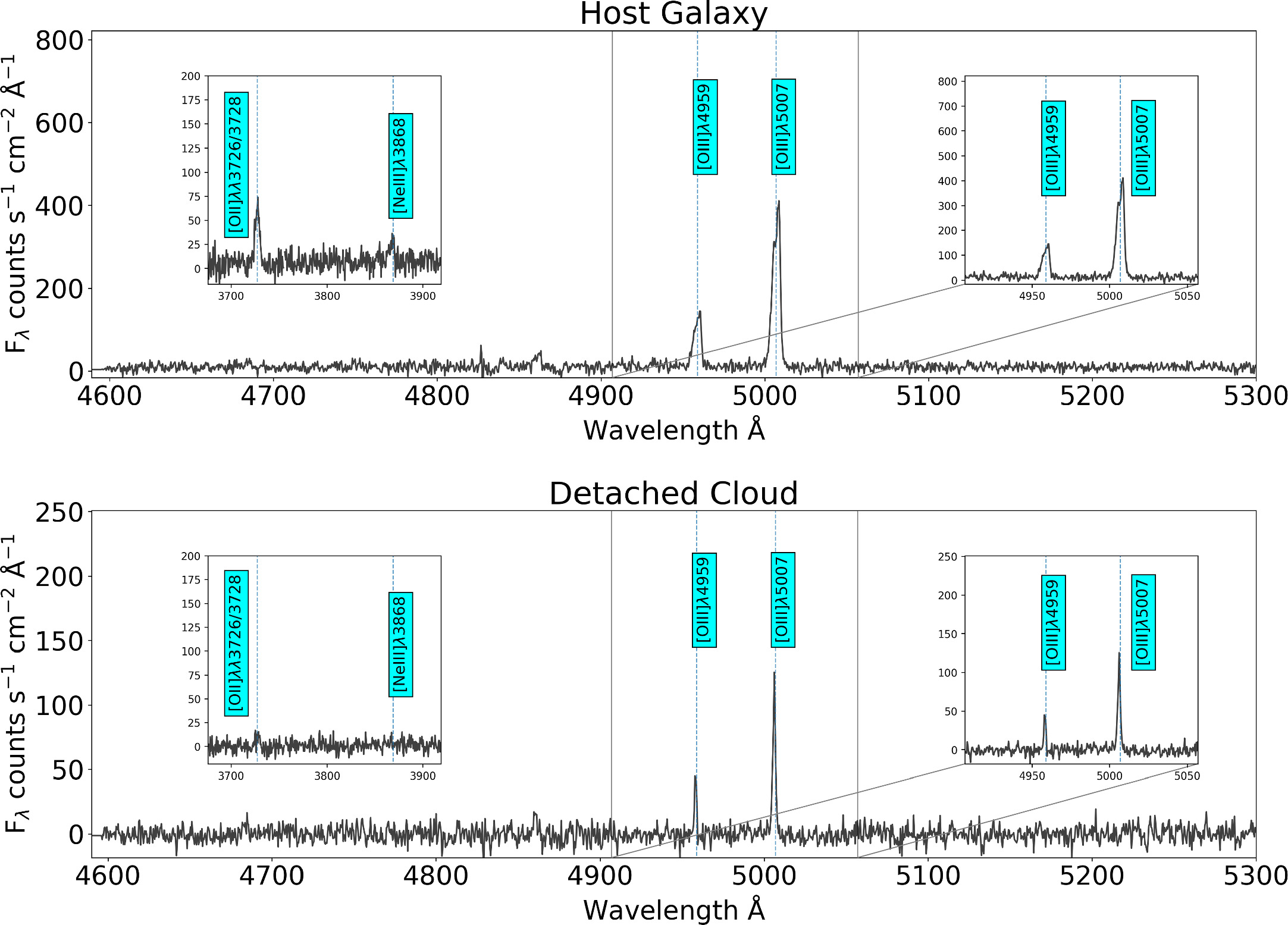 Signatures of Active Galactic Nucleus Feedback Modes: A Green Bean ...