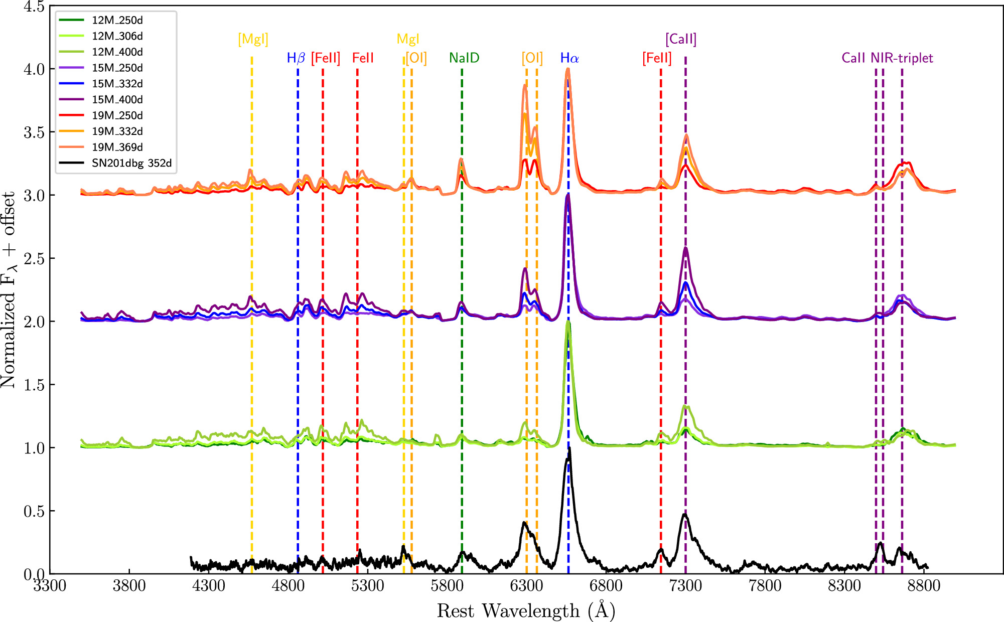 SN 2021dbg: A Luminous Type IIP–IIL Supernova Exploding from a Massive ...